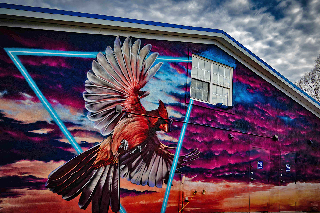 Turning a lens on Windsor - The Aurora News