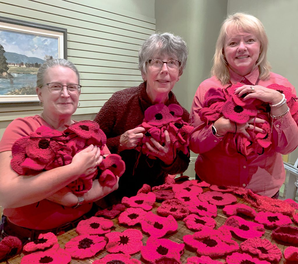 Poppy cascade a ‘visual pledge for all of us: never again’ – The Aurora ...